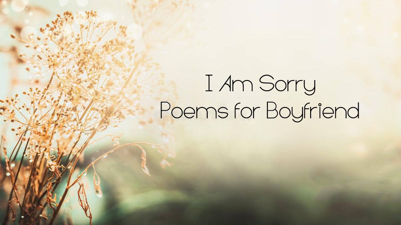 I Am Sorry Poems For Him